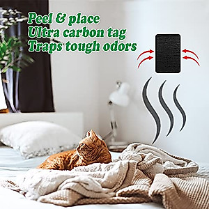 KLC Cat Box Deodorizer | Ultra Carbon Patch | 2 - Pack | Cat Litter Box Odor Eliminator | Cat Litter Odor Absorber | Litter Box Deodorizer | Cat Litter Box Area Odor Freshener | Charcoal Air Freshener