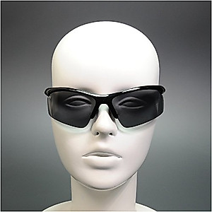 Dewalt DPG51-2C Radius Smoke 10 Base Curve Lens Protective Safety Glasses,Blacks