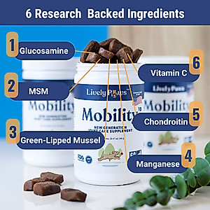 Lively Paws™ Mobility 10 Hip & Joint Care Supplement for Dogs- Soft Chews with Glucosamine, MSM, Green-Lipped Mussel, Manganese, Chondroitin & Vitamin C