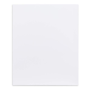 Amazon Basics Two-Pocket Folder, 25 set