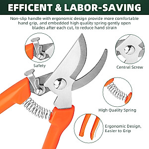 EWPJDK 2 PCS Garden Pruning Shears, Pruning Shears for Gardening, Stainless Steel Garden Shears, Gardening Shears, Gardening Scissors, Garden Tools