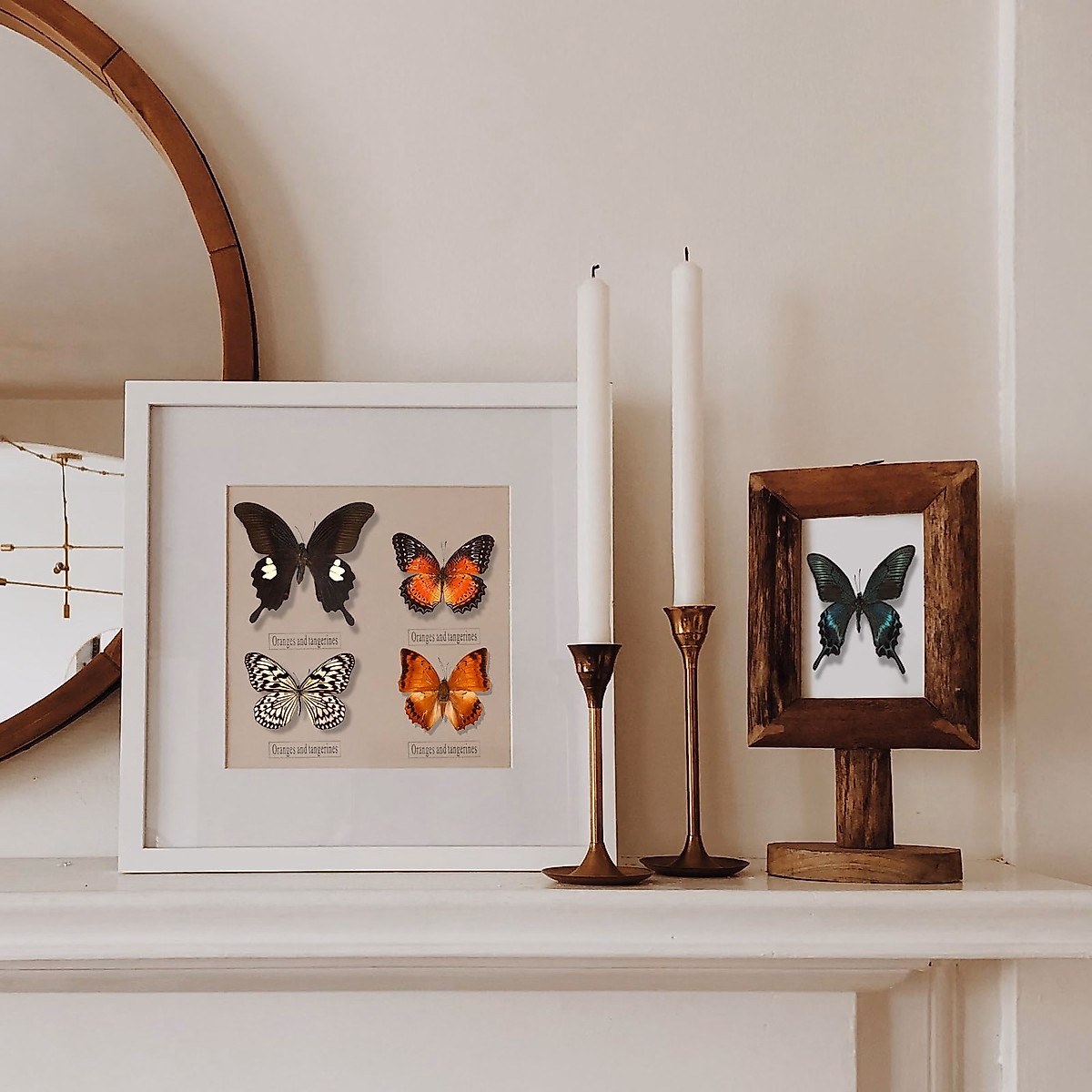 WTUAWB 6 Pcs Real Butterfly Specimen - Taxidermy Butterfly DIY Creative Production, Taxidermy Animals for Framed Butterfly Shadow Box (Random)