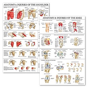 Palace Learning 2 Pack - Anatomy and Injuries of The Knee & Shoulder Poster Set - Anatomical Chart Set - Laminated 18" x 24"