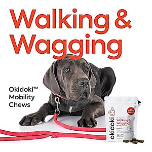 OKIDOKI Pets Mobility Chews Chiken for Dogs | Max Potency Hemp Extract |Balanced Mood & Behavior | Nervousness & Separation Anxiety Relief for Dogs | Dog Mobility Treat with Hemp Oil - Pack of 1