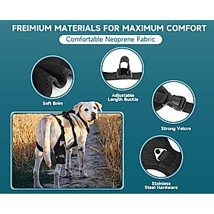 Virbraroo Dog Leg Brace for Torn Acl Hind Leg,8X Support Dog Knee Brace with Metal Strips for Joint Pain Relief, Rear Leg Brace with Adjustable Traction Belt for Cruciate Ligament Injury (L)