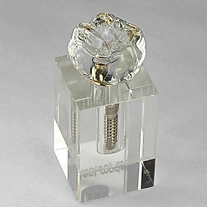 Dentistry Teeth Adult Model Dental Implant Crystal Model M2019-I