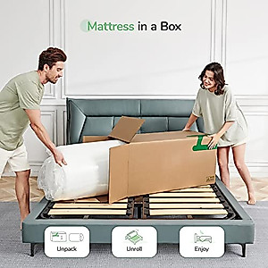 Novilla Queen Size Mattress, 12 Inch Gel Memory Foam Mattress Queen, Mattress in a Box for Back Pain Relief, Medium Firm Mattress with Edge Support & Motion Isolation, Ataraxia