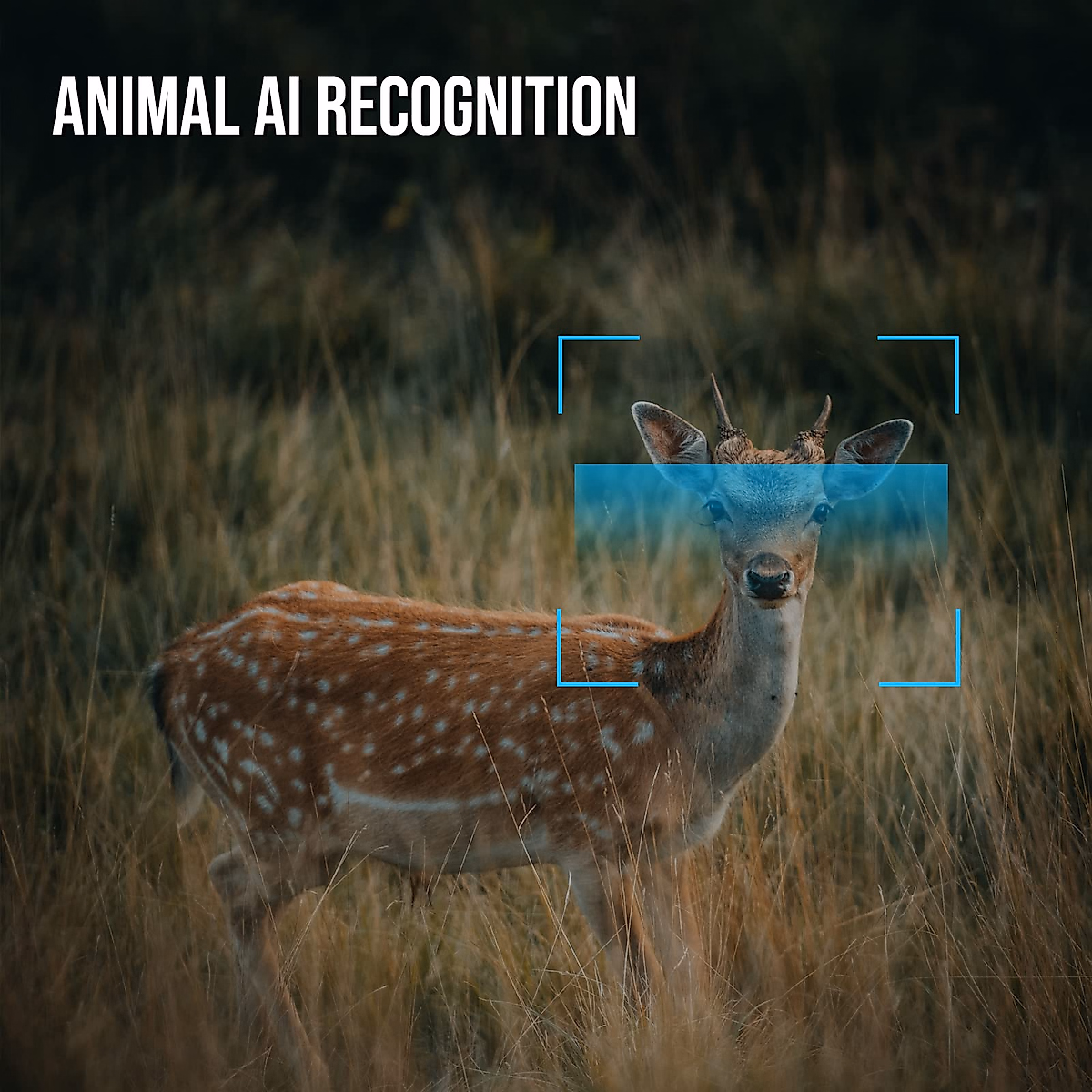 Camojojo 4G LTE Cellular Trail Camera with 1080P Video, 0.2s Trigger, IP66 Waterproof, 32GB SD & SIM Card