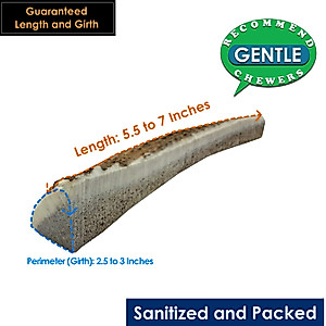 Deluxe Naturals Elk Antler Dog Chews | Long-Lasting A-Grade Premium Elk Antler Chews for Dogs from Naturally Shed Elk Antlers Collected in The USA, Split, Medium (Pack of 4)