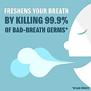 Listerine Freshburst Pocketpaks Fresh Breath Strips, Mint Breath Refresher Strips to Kill 99% of Bad Breath Germs, Portable Pack, Freshburst Spearmint Flavor, 24-Strips (Pack of 1)
