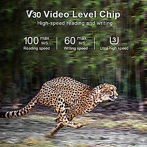LaView 128GB Micro SD Card,Micro SDXC UHS-I Memory Card-100MB/s,667X,U3,Class10,Full HD Video V30,A1,FAT32,High Speed Flash TF Card P500 for Computer with Adapter/Camera/Phone/Drone/Dash Cam/Tablet/PC