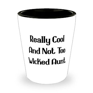 Sarcastic Aunt, Really Cool And Not Too Wicked Aunt, Useful Mother's Day Shot Glass From