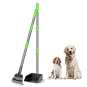 TOOGE Pooper Scooper, Dog Pooper Scooper Long Handle Stainless Metal Tray and Rake for Large Medium Small Dogs Heavy Duty (Green) (A-Standard)