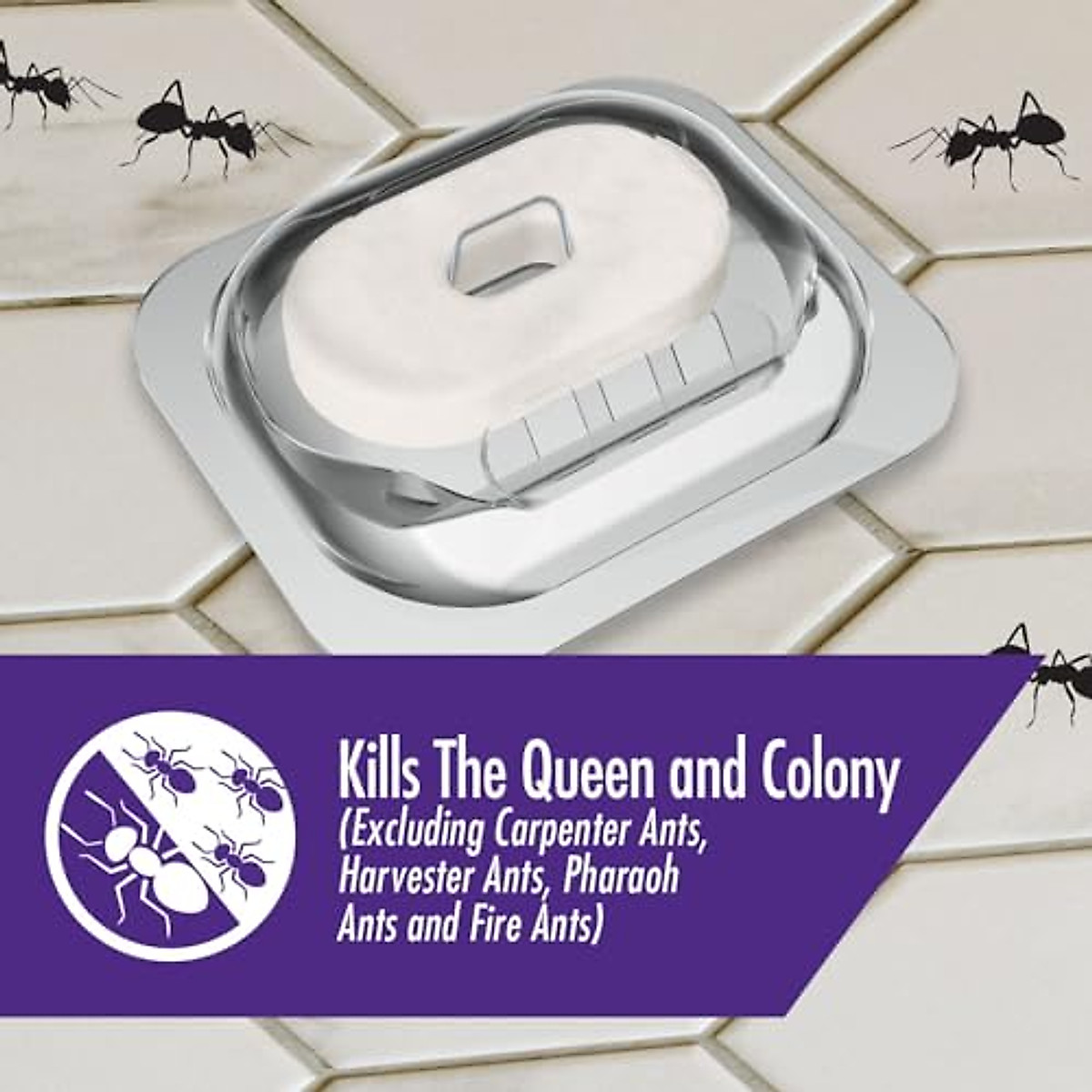 STEM Liquid Ant Baits, Kills The Queen and Colony, for Indoor Use, 8 Spill Proof Bait Stations