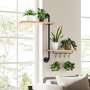 THYGIFTREE Window Plant Shelves 2-Tier Rotating Plant Display Holder Wall Mounted Pipe Swivel Plant Stand Rustic Floating Shelves for Houseplants Herbs, Wood