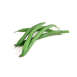 "Slenderette" Bush Bean Seeds for Planting, 50+ Heirloom Seeds Per Packet, (Isla's Garden Seeds), Non GMO Seeds, Scientific Name: Phaseolus vulgaris, Great Green Bean Variety for Home Garden