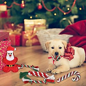 HPETHF Puppy Teething Chew Toys for Small Dog, Puppy Teething Rings Rope Cute Rubber Toy Interactive Chewers Relieve Itching Treat Ball Clean Teeth Toy 6 Pack (9 Pack)