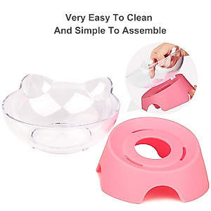 MILIFUN Raised Cat Food Bowls with Stand, Cat Dishes for Food or Water, Cat tilted bowl, Pet dish with stand