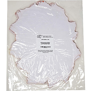 Gift Boutique 48 Pcs Paper Harvest Leaf Place Mats Orange Thanksgiving Autumn Maple Leaves Shaped Coated Table Mat 12" x 16" Fall Turkey Crafts Party Supplies Decor