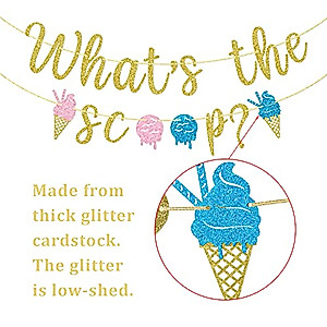 What's The Scoop Banner, Ice Cream Gender Reveal Banner, Baby Shower Decorations