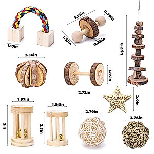 VCZONE 15Pcs Guinea Pig Toys Chinchilla Hamster Toys, Bunny Chew Toys Rat Gerbil Molar Wooden Pine Dumbells Exercise Bell Roller Fun Pet Balls Small Pets Play Toy (15 Pack)
