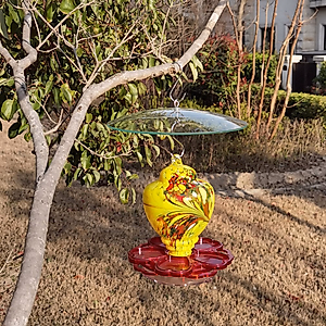 10" Glass Rain Cover for Wild Bird Feeder Outdoors - Weather Guard S Hook Hanging - Protective Dome Baffle - Clear (Dia. 25CM)