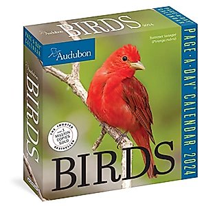 Audubon Birds Page-A-Day Calendar 2024: The World's Favorite Bird Calendar