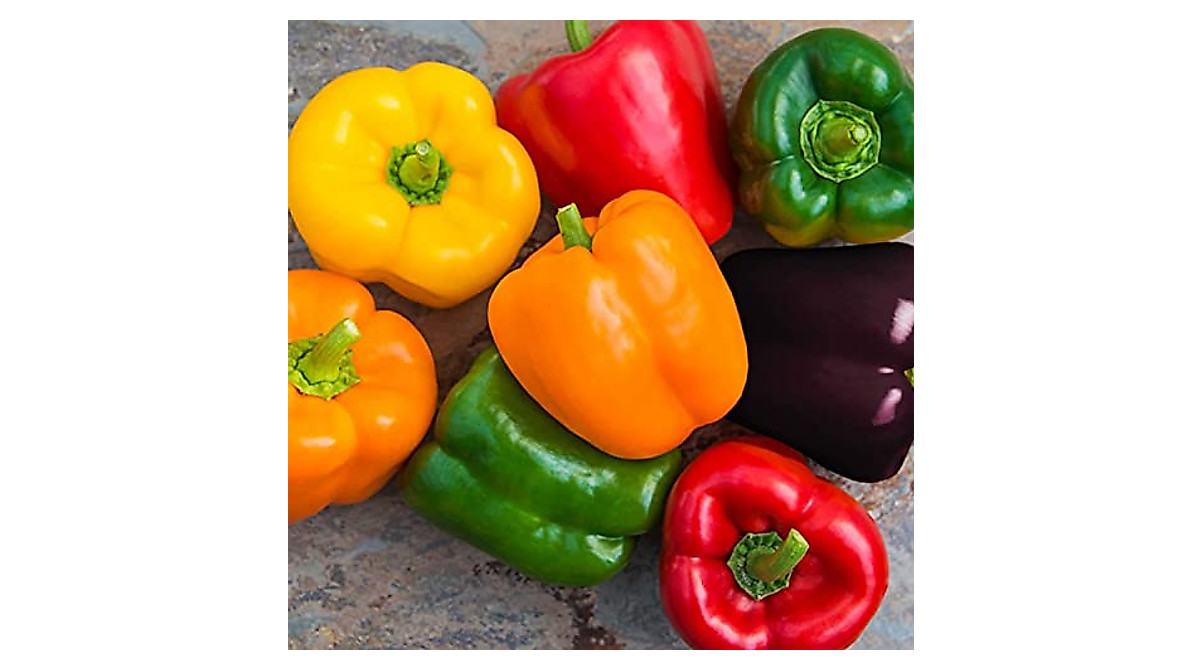 Buy 100+ Rainbow Blend Sweet Bell Pepper Seeds