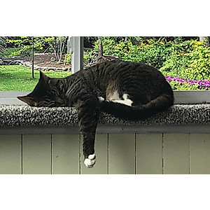PURRCHED Cat Perch, Carpeted Cat Window Perch, Cat Bed, Cat Seat, Made in The USA, Sturdy, Safe and Easy to Install.