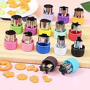 Mini Cookie Cutter Set 30 pcs for Kids Vegetable Cutters and Fruit Stamp Mold Different Shapes and Sizes Stainless Steel