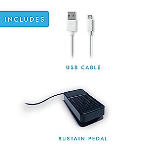 Carry-On, 49-Key Portable Keyboard (FOLDPIANO49)
