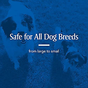 PetArmor Sure Shot Liquid De-Wormer for Dogs and Puppies, Liquid De-Wormer Treats Roundworms & Hookworms in Dogs and Puppies 2 Weeks and Older, For Dogs Under 120 lbs, 2 ounces
