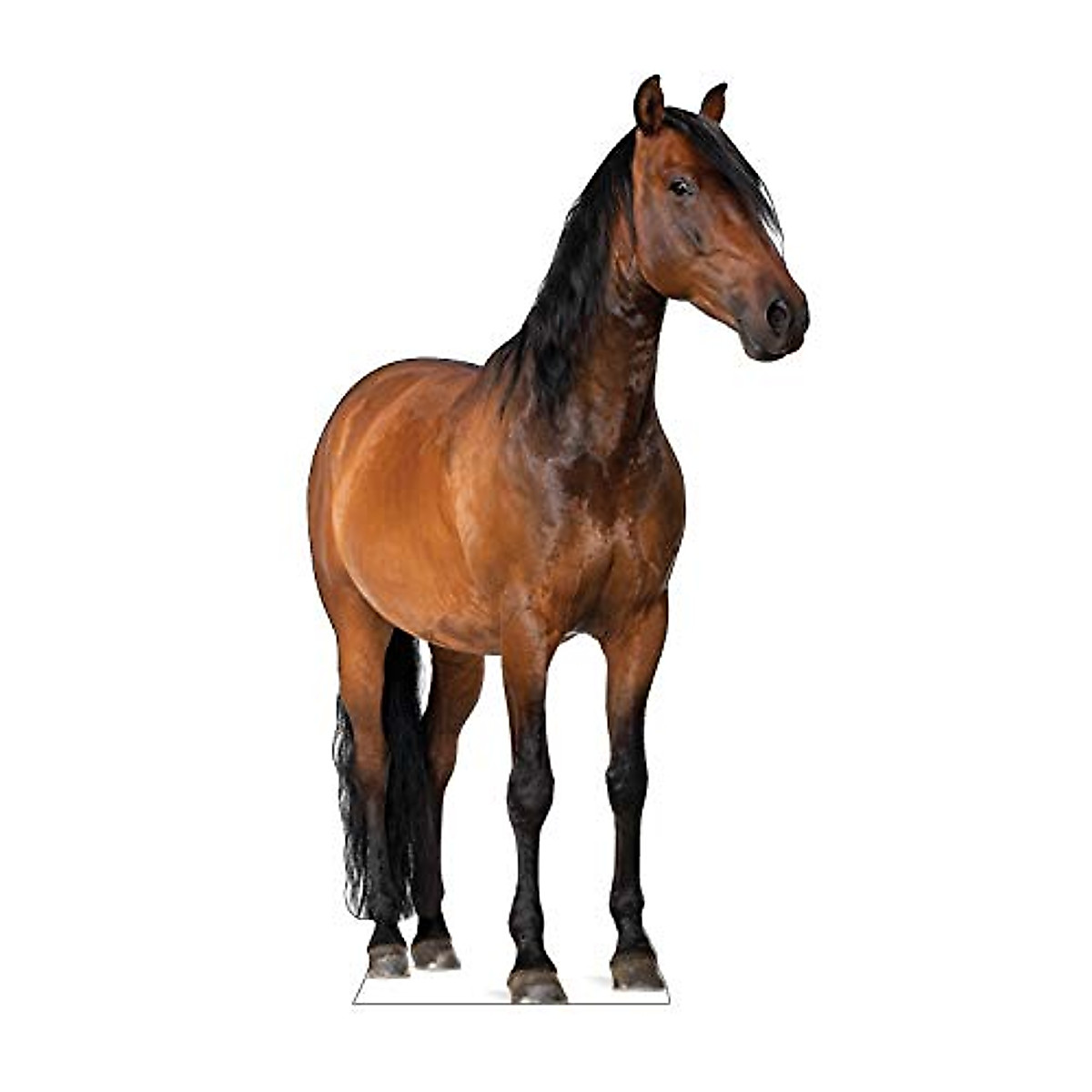 Cardboard People Horse Life Size Cardboard Cutout Standup