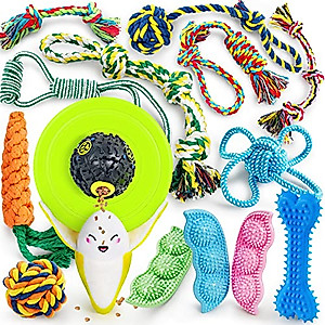 SHARLOVY Dog Chew Toys for Puppies Teething, Puppy Toys 16 Pack Dog Toys for Aggressive Chewers Puppy Chew Toys Peas Rubber Bone Dog Toy Bundle Small Dog Squeaky Toys for Small Dogs