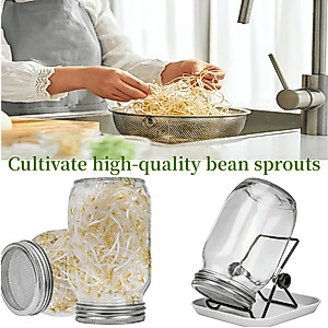 Lulonpon 2 Sprouting Jar Kit, Wide Mouth Quart Mason Jars with Stainless Steel Screen Sprout Lids, 86mm,1000ml,Stand,Tray and Canning Brush,Seed Sprouter Set for Growing Broccoli, Alfalfa, Mung Bean