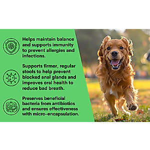 Probiotic for Dogs - Grain-Free Digestive Support Powder for Diarrhea, Bloating & Gas - Promotes Immune Support & Oral Health - Reduces Paw Licking, Allergies & Yeast Infections - 2.7 oz - 45 Scoops