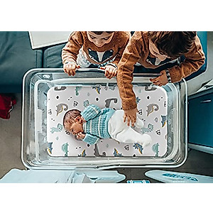 GRSSDER Stretchy Ultra Soft Fitted Bassinet Sheet Set 2 Pack, Universal Fit for Bassinets Baby Cradle Moses Basket Oval Rectangle Pad/Mattress, Happy Dinosaurs Bassinet Sheets for Girls and Boys