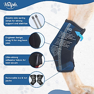 Hilph Rear Leg Hock Brace with Metal Spring Strips and 2 Ice Packs, Dog Leg Brace Hot Cold Compression for Rear Leg, Hock Ankle Support, Injuires, Joint Pain, Sprain and Post Surgery Recovery (M)