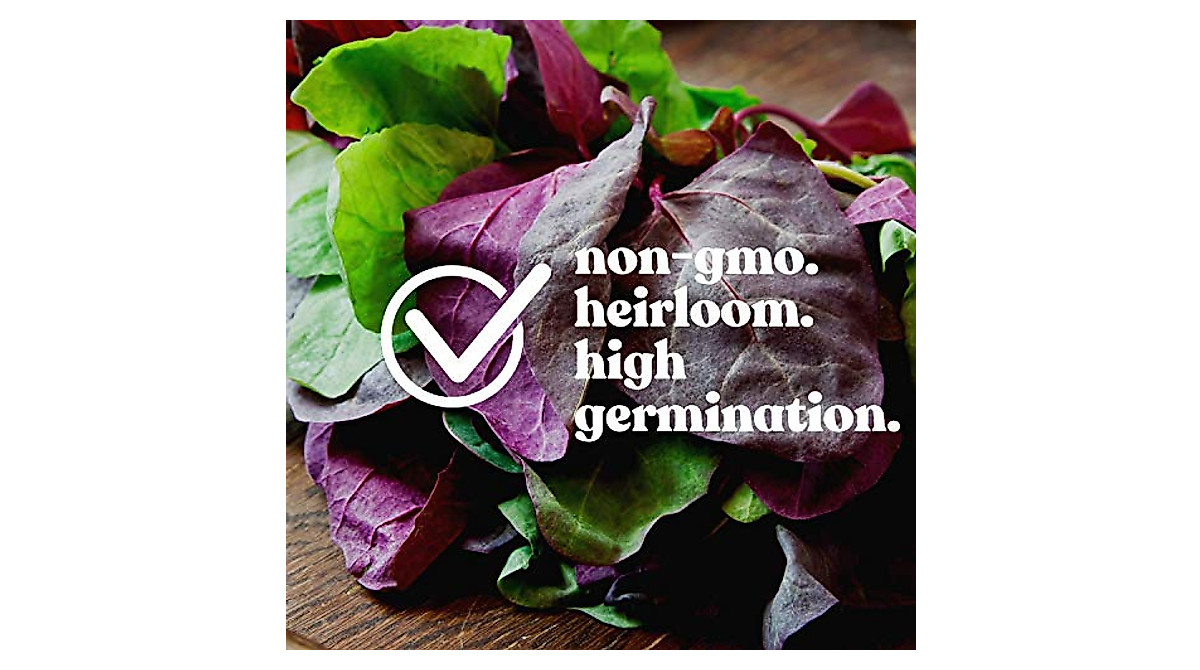 Grow Vibrant Red Fire Orach Seeds - Fast, Heirloom French Spinach