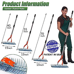 Walensee Thatch Rake, 15-Inch Lawn Thatching Rake, Robust Dethatcher Rake, Efficient Steel Metal Rake with Handle, Versatile Grass Grooming Rake for Cleaning Dead Grass, Yard Garden Durable Soil Rake