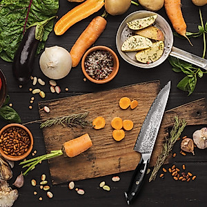 8 Inch Ultra Sharp Phoenix Series Damascus Chef Knife with G10 Full Tang Handle, Professional Handmade 67 Layers Damascus Steel VG-10 Core Gyutou Kitchen Knife