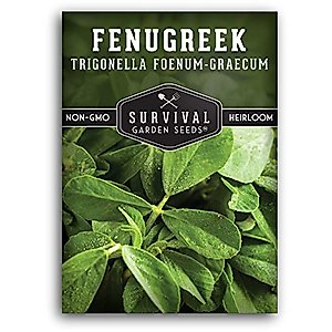 Survival Garden Seeds - Fenugreek Seed for Planting - Packet with Instructions to Plant & Grow Samudra Methi in Your Home Vegetable Garden - Non-GMO Heirloom Variety - Good Microgreens or Sprouts