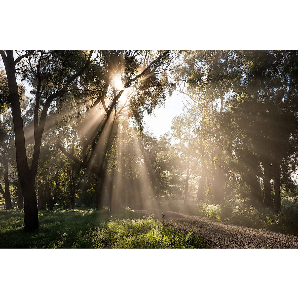 TAMRON F053SF 35mm f/2.8 Di III OSD Sony E-Mount, Black