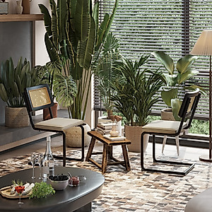 MeetLeisure Patio Dining Chair Set of 2 with Cushion for Outdoor Mid-Century Modern Chairs with Metal Chrome Legs, Armless Mesh Back Cane Chairs, Home Dining Accent Chairs, Beige