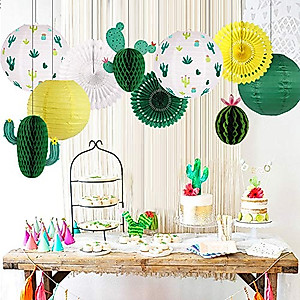 Cactus Party Decorations, Hawaiian Party Supplies Tropical Cactus Hanging Paper Lanterns Cactus Honeycomb Tissue Paper Fans for Llama Birthday Summer Party Home Decoration (Green)