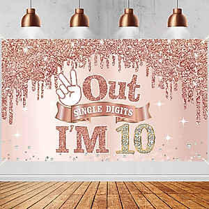 Large 10 Years Old Birthday Banner Decorations for Girls, Pink Rose Gold 10th Birthday Backdrop Party Supplies, Out Single Digits I'm 10 Bday Poster Background Sign Decor