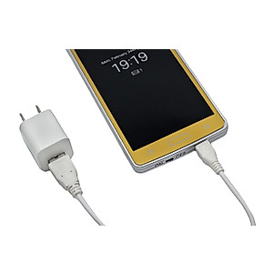 CHEETAH Galaxy Stun Gun Rechargeable Battery Led Tactical Flashlight/Micro USB Cord, Gold