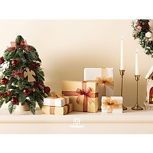 Vitalizart 1" x 90Yd Organza Ribbon Mixed Color Sheer Ribbons Set 10 Yd x 9 Rolls Handmade for Gift Wrapping Christmas Tree Crafts Bows Wedding Invitations Wreaths Wrap