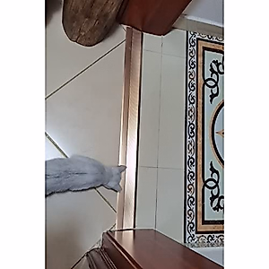 Floor Strips Between Rooms, 4inch 10cm Extra Wide Threshold Transition Ramps for Doorways, Self Adhesive Reducer/Edge Trim for Vinyl Wood Uneven Flooring, Metal (Color : E, Size : W 10CM - L 170cm/