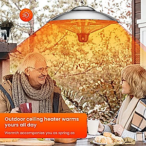 Danluke 500/1000/1500W Remote control electric heater outdoor,Ceiling-Mounted Heater, Electric Outdoor Heater,Ceiling Mounted Heater for Balcony,Hanging Outdoor Heater